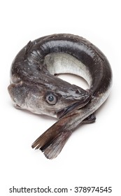 4,356 Raw fish hake Images, Stock Photos & Vectors | Shutterstock