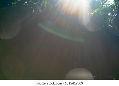 331 Halation Images, Stock Photos & Vectors | Shutterstock
