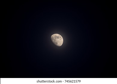 32,516 White half moon Stock Photos, Images & Photography | Shutterstock