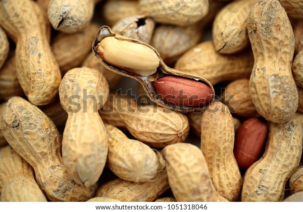 Half Open Peanuts Stock Photo 1051318046 | Shutterstock
