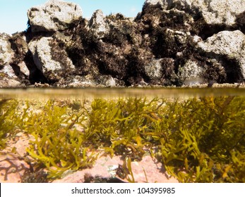 Half Underwater Half Over Overunder Split Stock Photo 104395985 ...