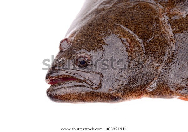 Halibut Head Features On White Background Stock Photo 303821111 ...