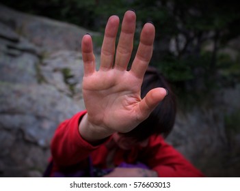 Hand Holding Tree Forest Stock Photo 1584644353 | Shutterstock