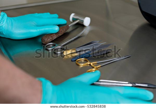Hand Holding Forceps Instruments Surgery Stock Photo (Edit Now) 532845838