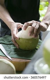 Hand Open Coconut Shell Stock Photo 360576497 | Shutterstock