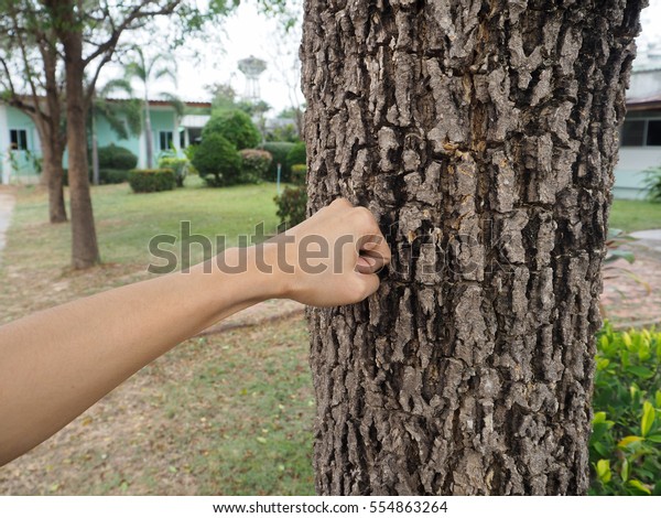 Hand Punching Tree Stock Photo 554863264 | Shutterstock