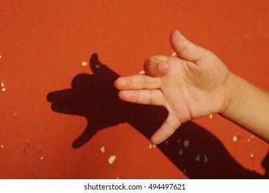 Hand Shadow Stock Photo 494497621 | Shutterstock
