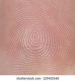 Hand Skin Texture Pattern Background Stock Photo 229435540 | Shutterstock