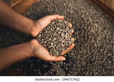 Hand Sorting Coffee Beans Before Roasting Stock Photo 1946717422 ...