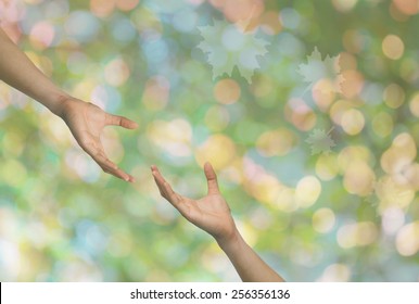 Hand Support Each Other Stock Photo 256356136 | Shutterstock