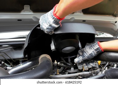 Car Mechanic Removing Radiator Hoses Engine Stock Photo (Edit Now ...