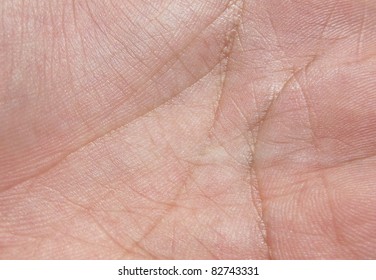 Hand Texture Stock Photo 82743331 | Shutterstock