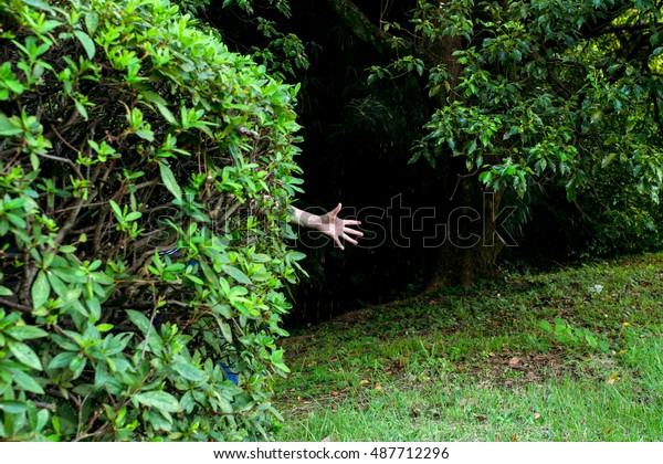 Hand Trees Stock Photo 487712296 | Shutterstock