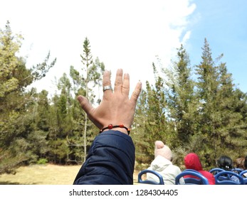 Hands Forest Stock Photo 1284304405 | Shutterstock