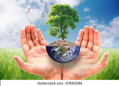 Hands Hugging Big Tree Globe On Stock Photo (Edit Now) 478301086