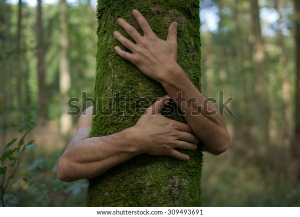 Hands Hugging Tree Stock Photo 309493691 | Shutterstock