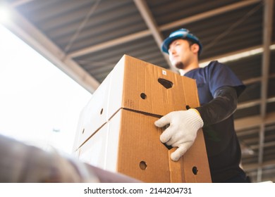 Hands Men Doing Sorting Work Stock Photo 2144204731 | Shutterstock