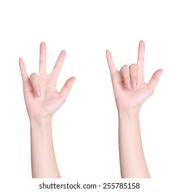 Hands On White Background Stock Photo 255785158 | Shutterstock