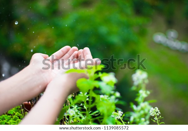 Hands Rain Stock Photo 1139085572 | Shutterstock