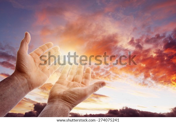 Hands Reaching Sky Stock Photo 274075241 | Shutterstock