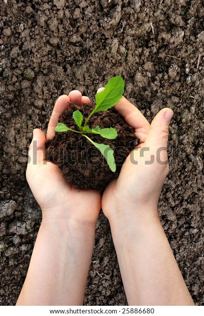 Hands Soil Stock Photo (Edit Now) 25886680