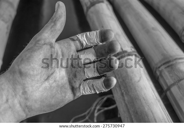 Hard Work Hands Stock Photo 275730947 | Shutterstock
