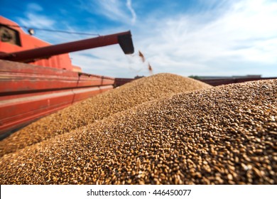 8,172 Loading crops Images, Stock Photos & Vectors | Shutterstock