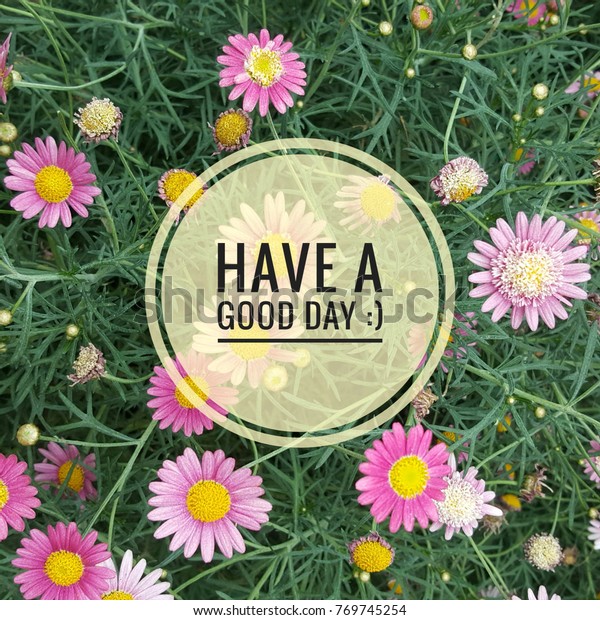 Have Good Day Text Tiny Pink Stock Photo (Edit Now) 769745254