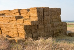Large stack of square hay bales, a Nature Photo by Zigzag Mountain Art