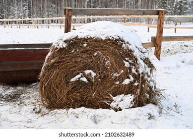 5,939 Snow stable Images, Stock Photos & Vectors | Shutterstock