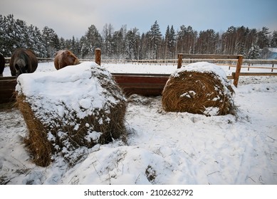 5,939 Snow stable Images, Stock Photos & Vectors | Shutterstock