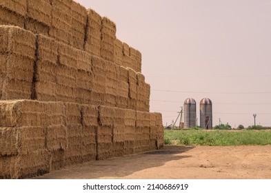 2,712 Straw pole Images, Stock Photos & Vectors | Shutterstock