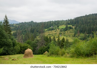 Haystack Woods Mountains Stock Photo 734213842 | Shutterstock