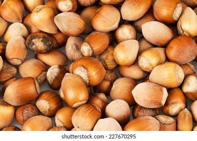Hazelnut Texture Stock Photo 40936195 | Shutterstock