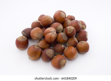 Hazelnuts Beech Wood Bowl Loose Isolated Stock Photo 77618629 ...