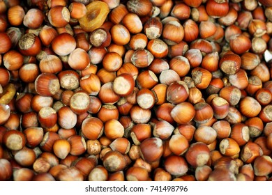 Hazelnut Texture Stock Photo 741498796 | Shutterstock