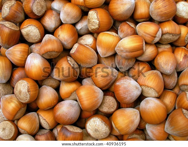 Hazelnut Texture Stock Photo 40936195 | Shutterstock