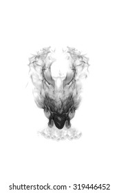 Head Fire Demon Stock Photo 319446452 | Shutterstock