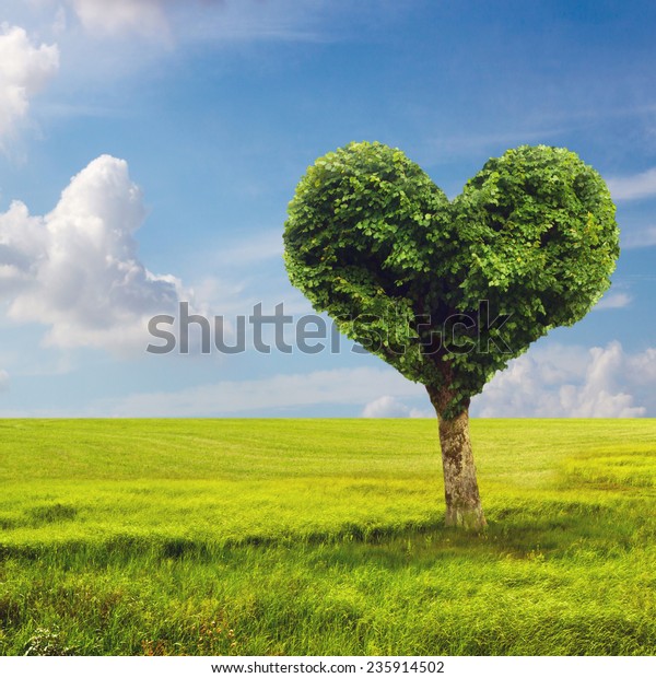Heart Shape Tree Stock Photo (Edit Now) 235914502