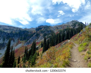 118 Maple loop pass Images, Stock Photos & Vectors | Shutterstock