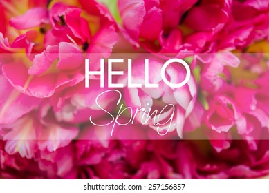 17,991 Hello spring time Images, Stock Photos & Vectors | Shutterstock