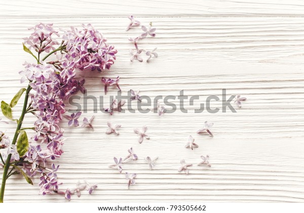 Hello Spring Flat Lay Image Beautiful Stock Photo (Edit Now) 793505662