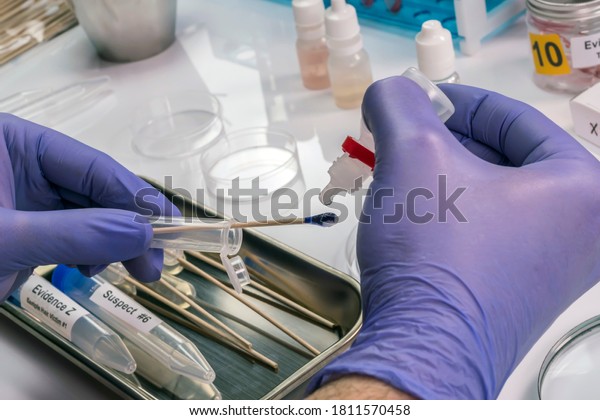Hematological Analysis Forensic Test Kit Murder Stock Photo 1811570458 ...