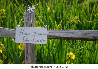 226 Here comes bride Images, Stock Photos & Vectors | Shutterstock