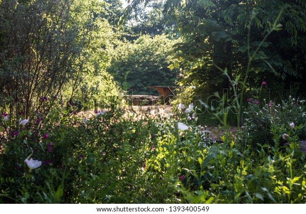 Hidden Bench Park Stock Photo 1393400549 | Shutterstock