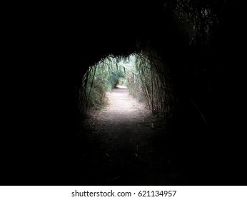 Hidden Path Stock Photo 621134957 | Shutterstock