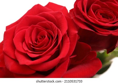 2,119 Apology rose Images, Stock Photos & Vectors | Shutterstock