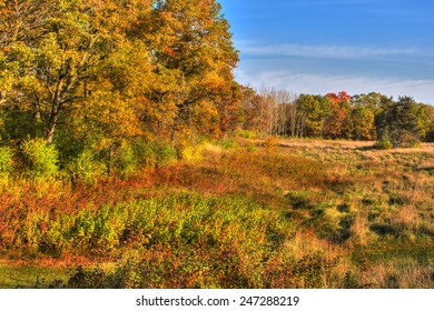 24,566 Forest hdr Images, Stock Photos & Vectors | Shutterstock