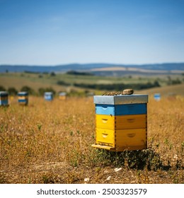 Flower Bee Farms Farmland Bees Beehive AI-generated image 2272995097 ...