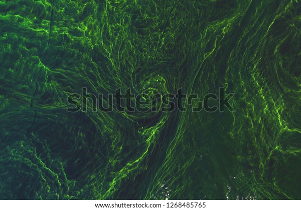 High Resolution Satellite Image Algae Bloom库存照片1268485765 | Shutterstock